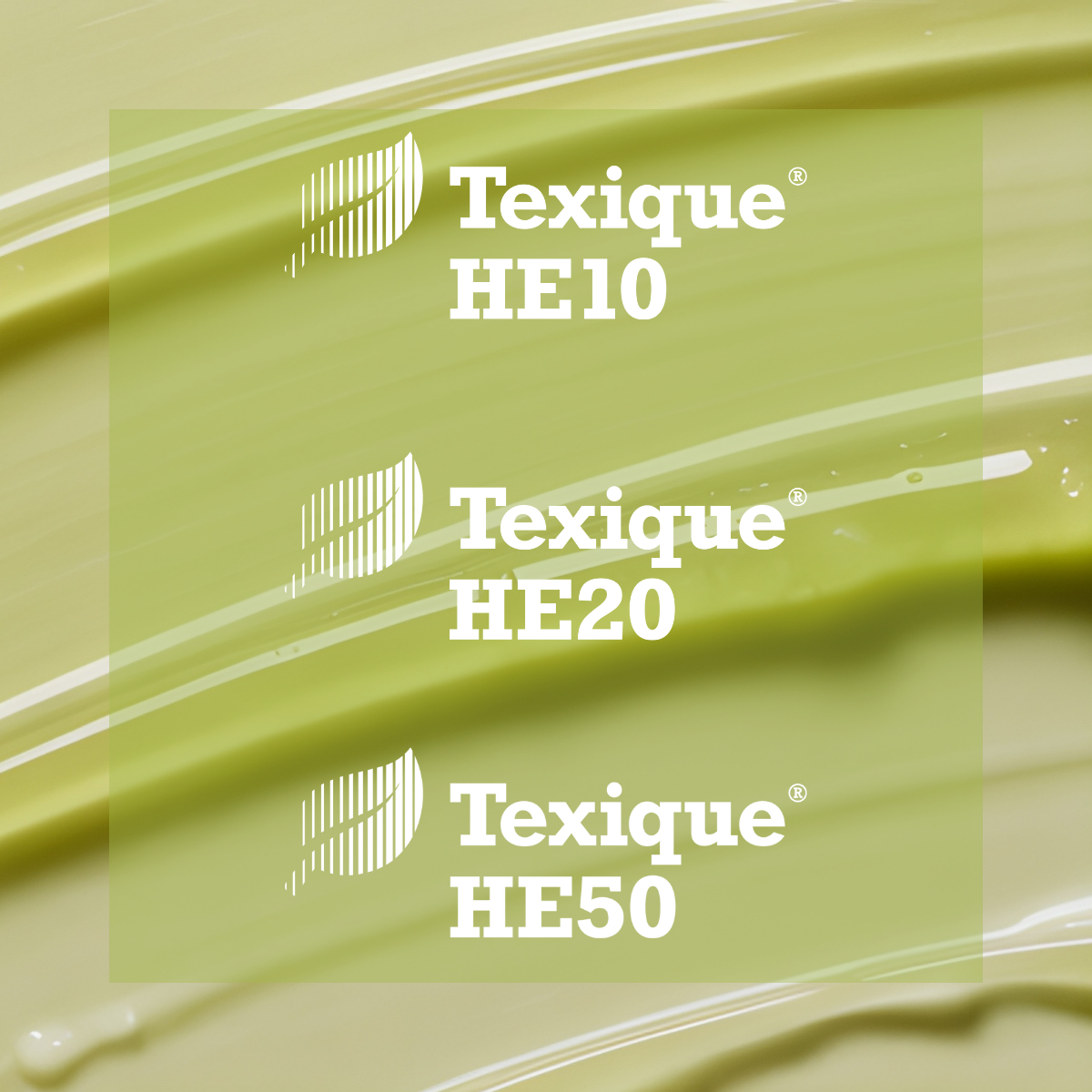 Enhancing Formulations with Texique HE Series: Multifunctional Rheology ...